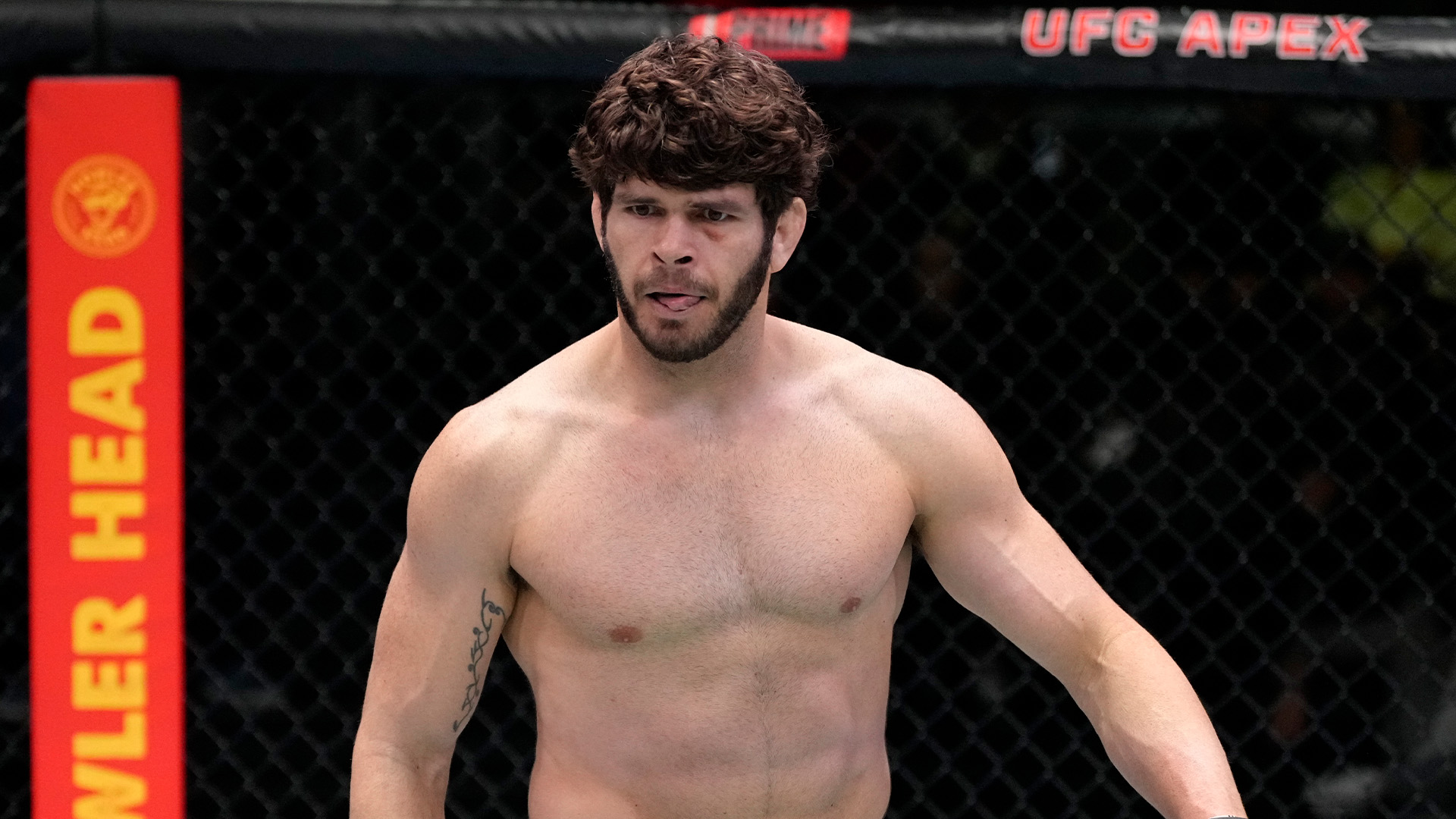 UFC Vegas 80: Confira card completo, onde assistir e palpites UFC Vegas 80: Confira card completo, onde assistir e palpites