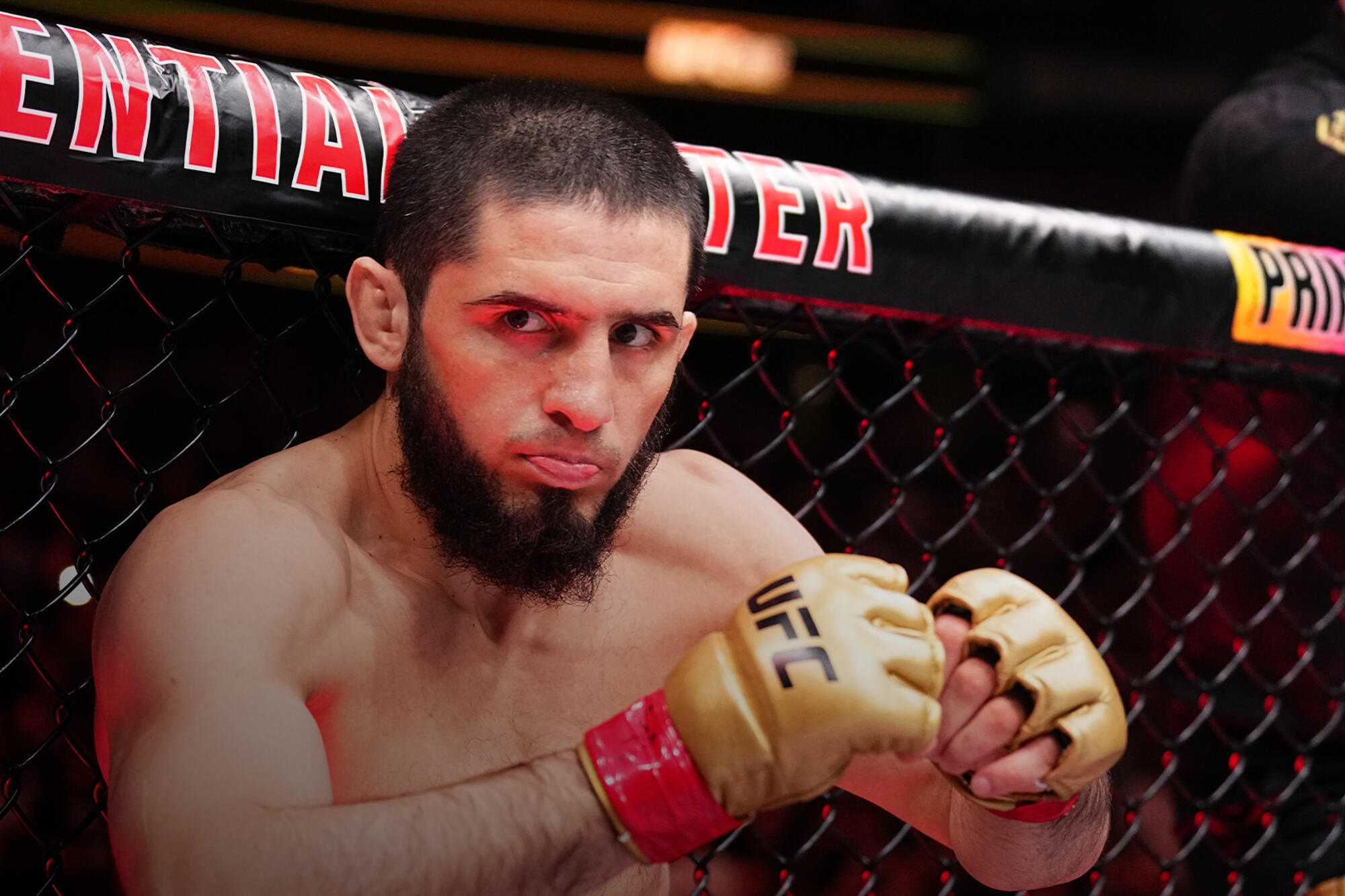 Ranking do UFC: Veja a lista completa de todas as categorias